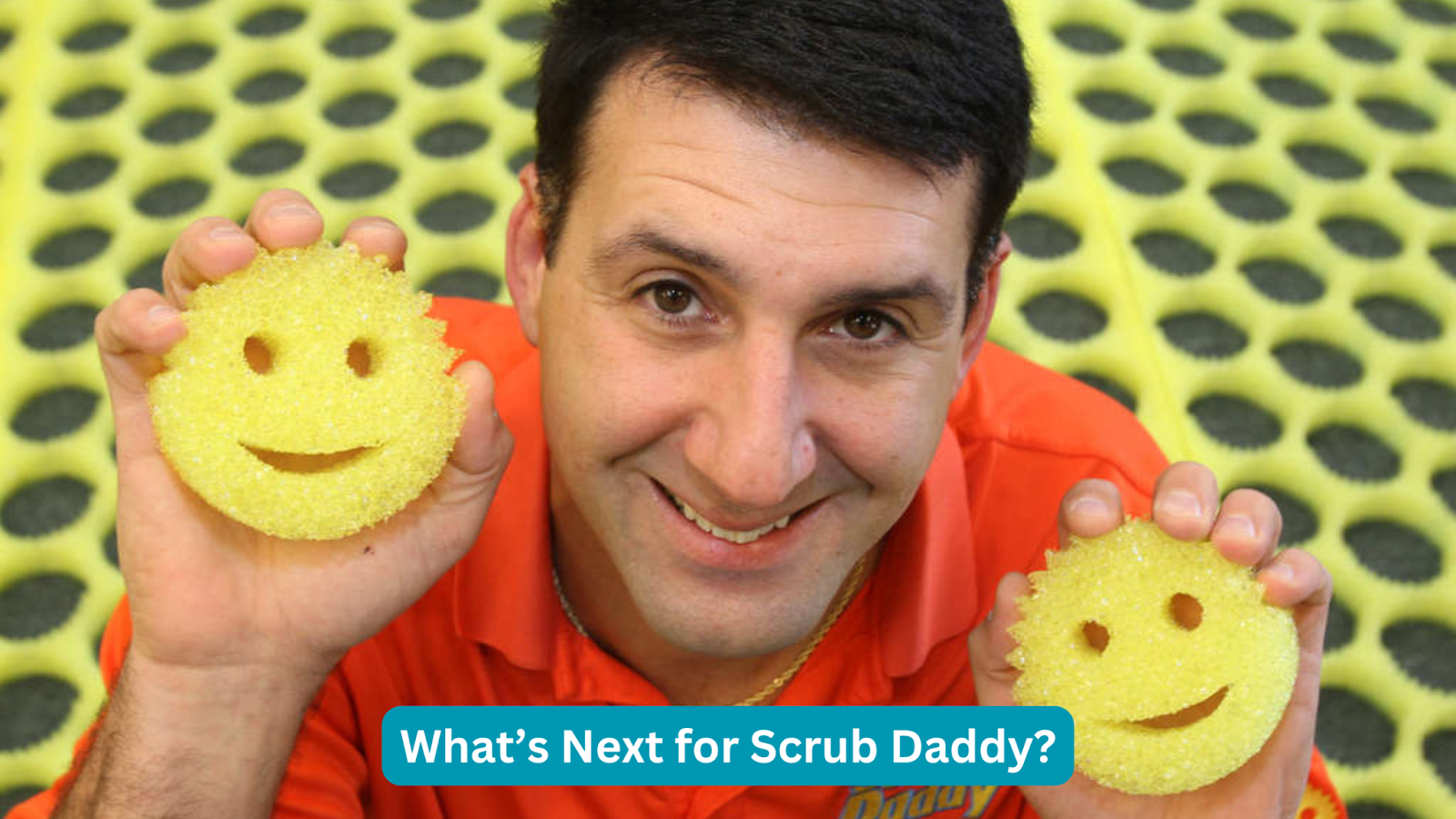 Scrub Daddy Net Worth: From Shark Tank to $250M Success
